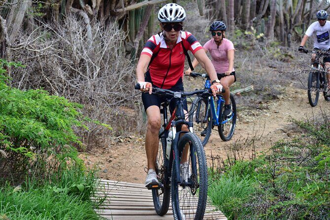 Private Mountain Bike Tour in Aruba - Final Thoughts: Is It Worth It?