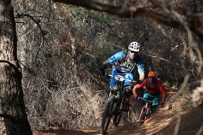 Private Mountain Bike,Trail Ride Tour of Mount Ymittos, Athens. - The Practical Side: Logistics, Pricing, and Comfort