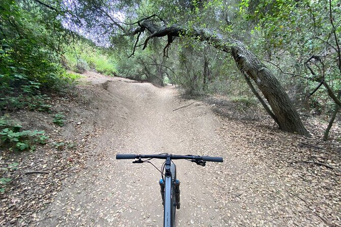 Private Mountain Biking Adventure in San Diego - Final Thoughts