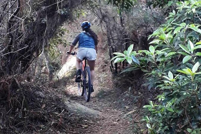 Private Mountain Biking Adventure in Sintra Cascais Park - Practical Details and Tips