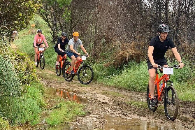 Private Mountain Biking Adventure in Sintra Cascais Park - Who Will Love This Tour?