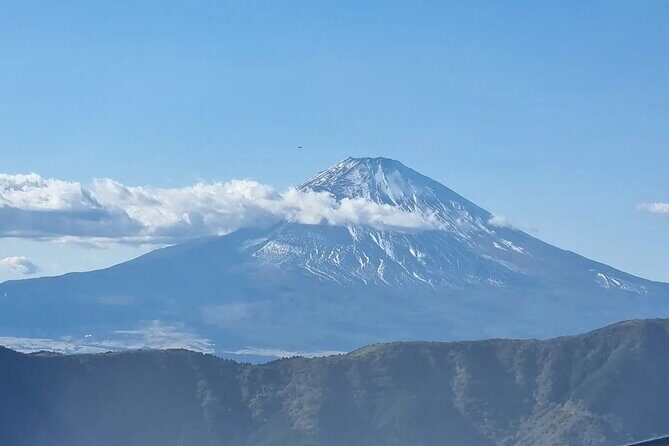 Private Mt Fuji and Hakone Day Tour from Tokyo - What Makes This Tour Stand Out?