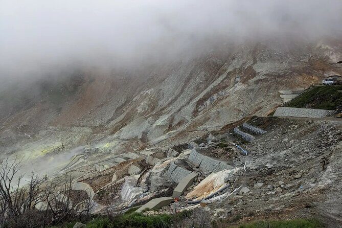 Private Mt Fuji and Hakone Day Tour from Tokyo - Final Thoughts