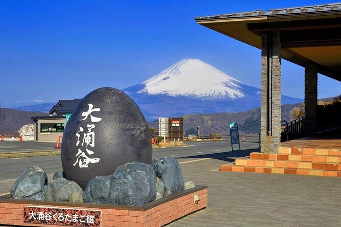 Private Mt. Fuji and Hakone Day Tour with English Speaking Driver - The Experience in Action: What Travelers Say