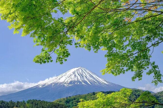 Private Mt Fuji Area Day Trip with English Speaking Driver - Key Points