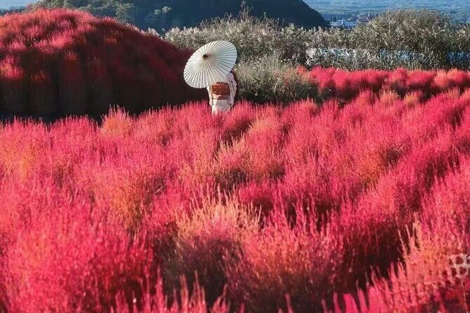 Private Mt Fuji Area Day Trip with English Speaking Driver - What Travelers Say