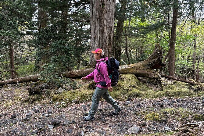 Private Mt Fuji Car and Hiking Experience from Gotemba - Key Points