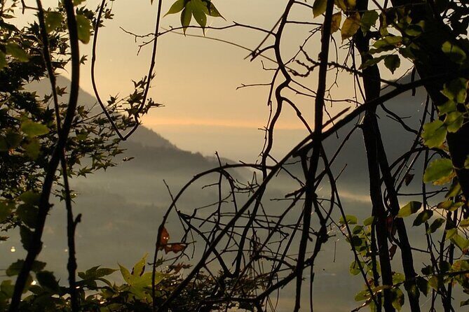 Private Mt Fuji Car and Hiking Experience from Gotemba - Descending via a Different Route: More Views, Less Crowds