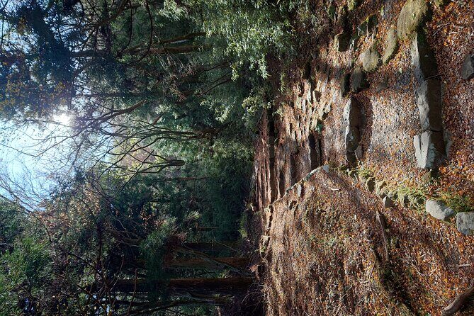 Private Mt Fuji Car and Hiking Experience from Gotemba - What Travelers Say