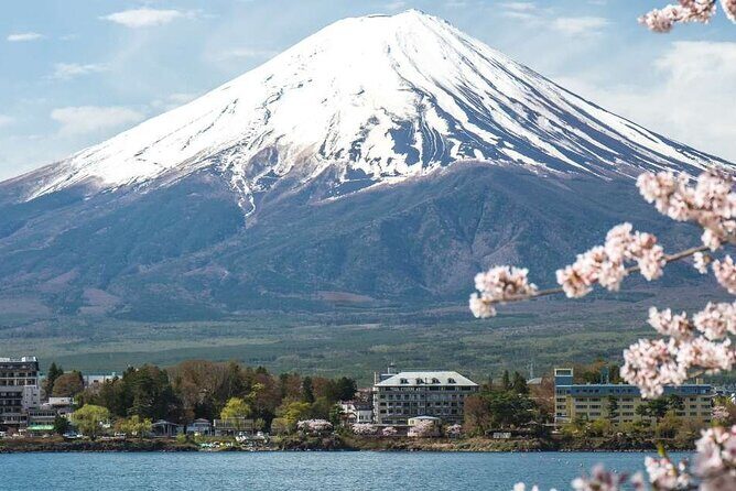 Private Mt. Fuji Custom Tour from Tokyo - The Itinerary in Detail: What’s Included and What You Should Expect
