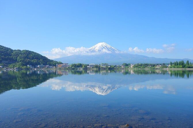 Private Mt. Fuji Custom Tour from Tokyo - The Sum Up