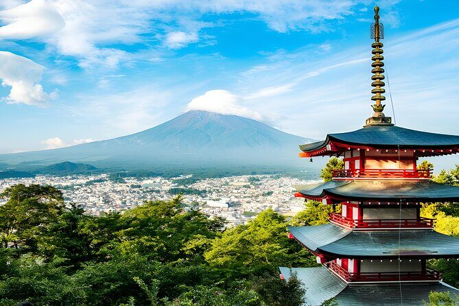 Private Mt. Fuji Day Trip from Tokyo with English-Speaking Driver - An In-Depth Look at the Tour Experience