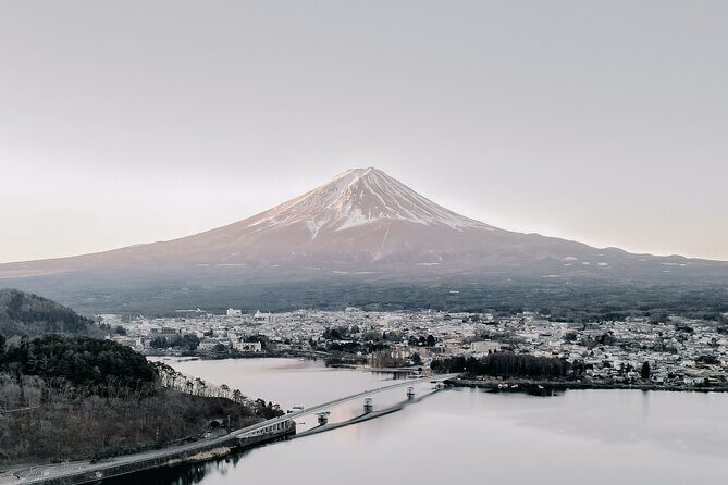 Private Mt Fuji, Hakone and Tokyo Tour - English Speaking Driver - What Real Travelers Say