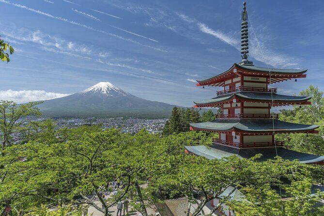 Private Mt Fuji, Hakone and Tokyo Tour - English Speaking Driver - Who Should Consider This Tour?