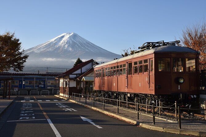Private Mt Fuji, Hakone and Tokyo Tour - English Speaking Driver - Final Thoughts