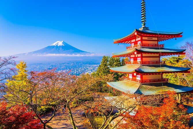 Private Mt. Fuji & Hakone Day Tour Scenic Views & Hot Springs - Key Points