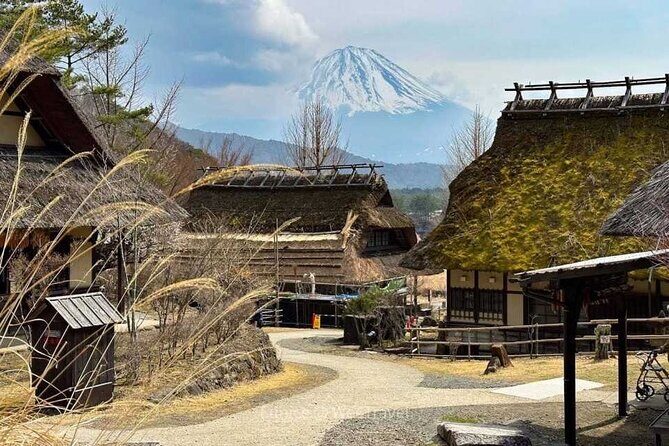 Private Mt Fuji Tour with English Speaking Driver - Authentic Reviews from Past Travelers