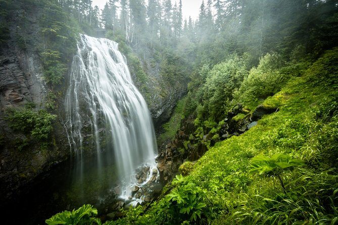 Private Mt Rainier National Park Day Trip from Seattle - Valuing the Price: Is It Worth It?