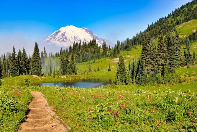 Private Mt Rainier National Park Tour in SUV - Introduction