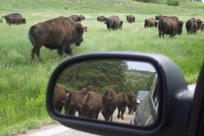 Private Mt Rushmore, Crazy Horse, Custer State Park Monument Tour - The Sum Up