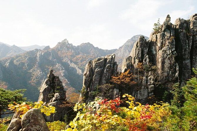 Private Mt.Seorak national park Tour and Sokcho - An In-Depth Look at the Tour Experience