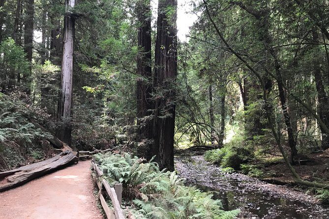 Private Muir Woods and Sausalito Half Day Tour - Who Is This Tour Best For?