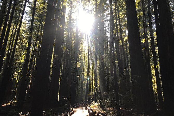 Private Muir Woods and Sausalito Half Day Tour - FAQ