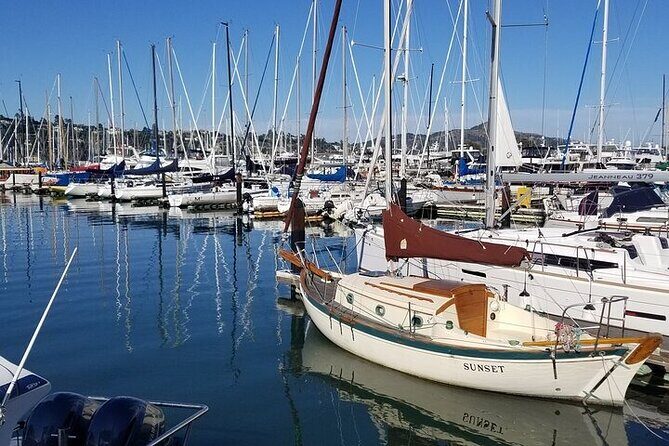 Private Muir Woods, Sausalito, and Marin Headlands Tour - Who Should Consider This Tour?