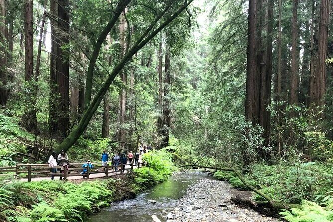 Private Muir Woods, Sausalito, and Marin Headlands Tour - Frequently Asked Questions