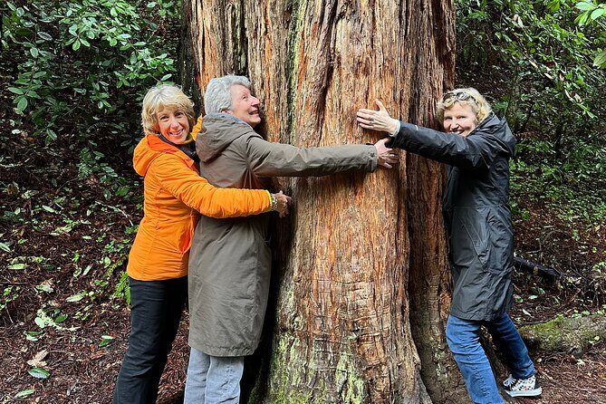 Private Muir Woods Tour Via Luxury Tesla - Key Points