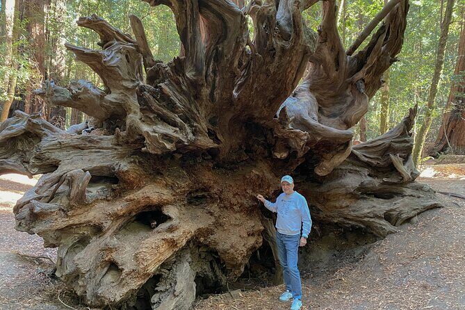 Private Muir Woods Tour Via Luxury Tesla - FAQ