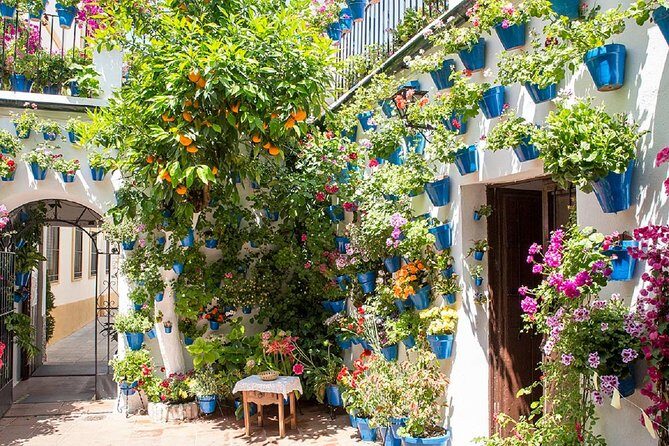 Private Multiday: Cordoba,Granada, Alhambra & Seville from Malaga - Final Thoughts