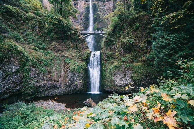 Private Multnomah Falls, Train Ride, & Wine Tour - The Itinerary in Detail