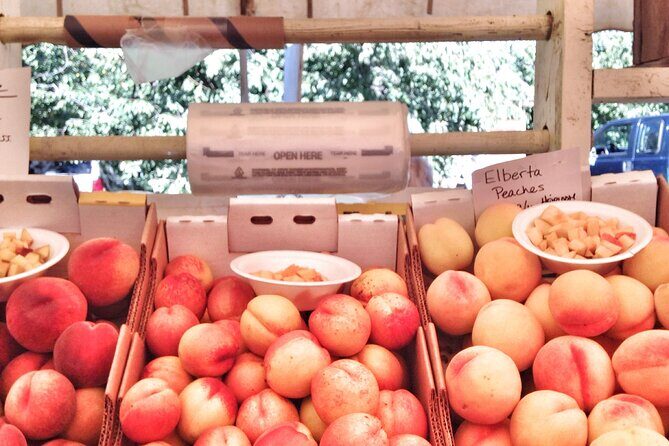 Private Multnomah Falls, Train Ride, & Wine Tour - Possible Drawbacks to Consider