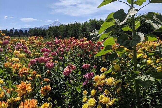 Private Multnomah Falls, Train Ride, & Wine Tour - Final Thoughts