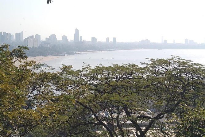 Private Mumbai City Tour - Value and Overall Impression