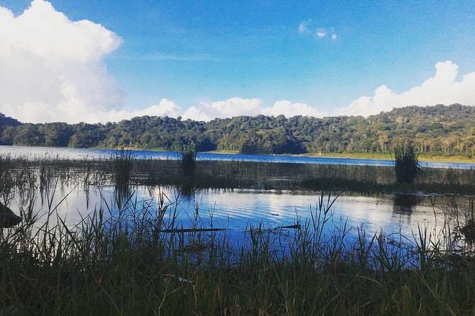 Private Munduk Waterfalls Trekking Tour - An Introduction to the Munduk Waterfalls Trekking Experience