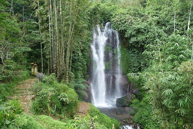Private Munduk Waterfalls Trekking Tour - What Makes This Tour Stand Out