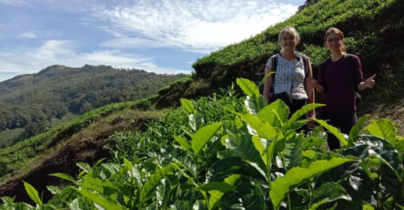 Private Munnar Tea Trek - The Food, Water, and Convenience