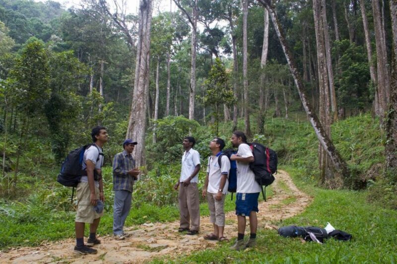 Private Munnar Tea Trek - Highlights and Practicalities