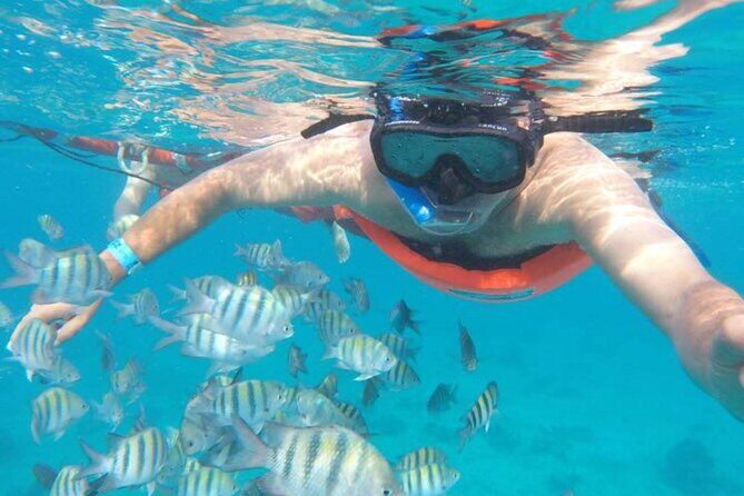 Private MUSA Snorkeling Experience at Isla Mujeres and Cancun - The Experience in Detail