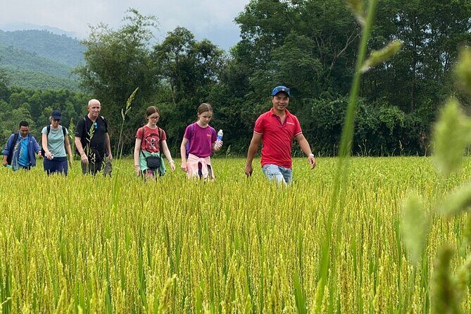 PRIVATE My Son Holy Land Tour: Adventure on Vespa or Motorbike - FAQ