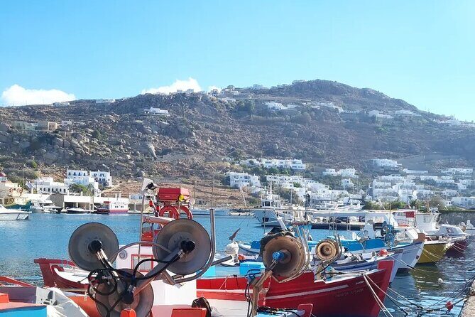 Private Mykonos Airport/Port Luxury Transfer-Taxi - The Realities: Weighing the Pros and Cons