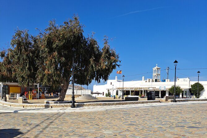 Private Mykonos island sightseeing tour. - FAQs: Your Practical Questions Answered
