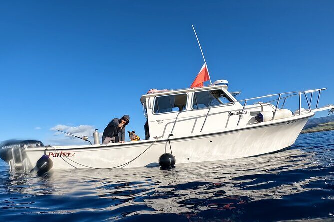 Private Na Pali Coast Tour - Who Is This Tour Best For?