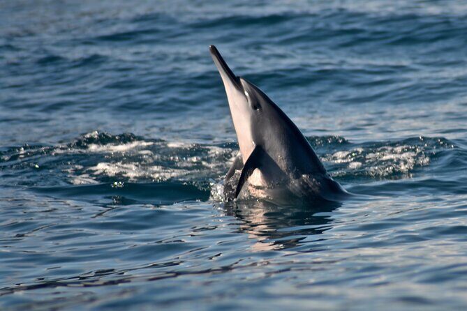 Private Na Pali Coast Tour - The Sum Up: Is This Tour Right for You?