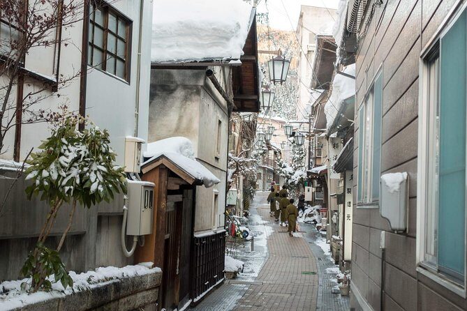 Private Nagano 1-Day Tour:Snow Monkeys,Zenko-ji,Obuse,Sake,Onsen - Walking, Weather, and Seasonal Tips