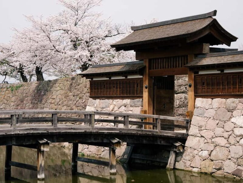 Private Nagano Day Trip: Snow Monkeys & Historic Temples - Who is This Tour Best For?