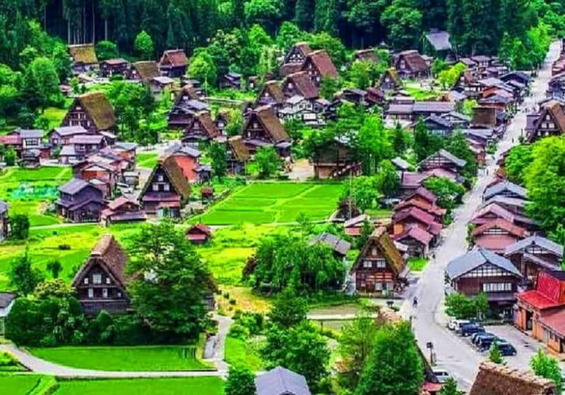 Private Nagoya & Shirakawa-go w/ English Driver - An In-Depth Look at the Experience