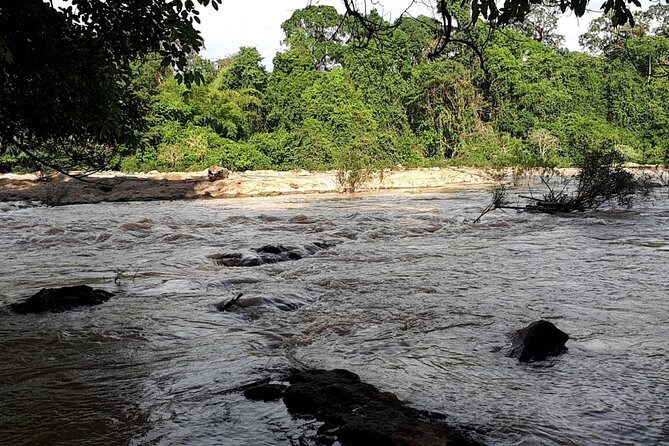 Private Nam Cat Tien National Park 2 Days 1 Night - Key Points